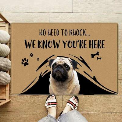 “No Need To Knock” Custom Pet Photo Doormat - Drawmade.com