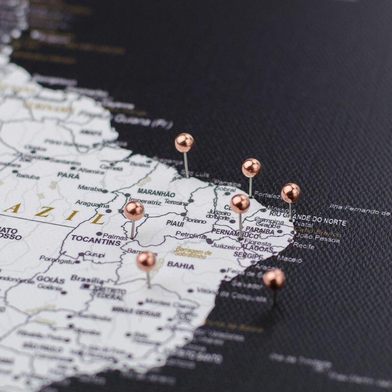 Map Push Pins Round Head Tacks with Stainless Point Metallic Finish ...